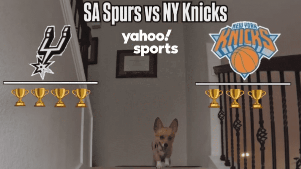 Air Corgi a parlé, les Spurs seront champions NBA